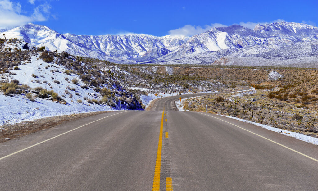 The Ruthless 2023 Winter - RMC