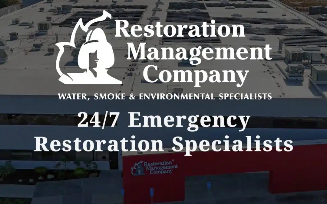 Exciting News: Introducing the New and Improved RMC Website ...